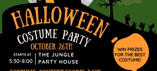 The Jungle Party House Birthday Parties Playground